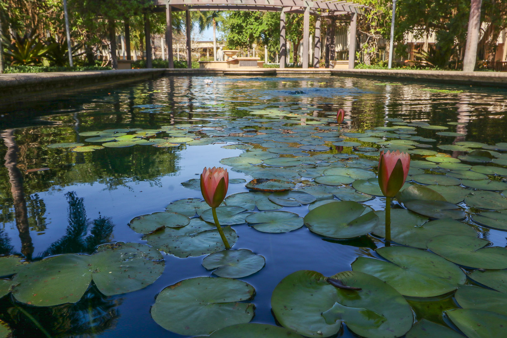 FSW Collegiate High School – Lee Campus